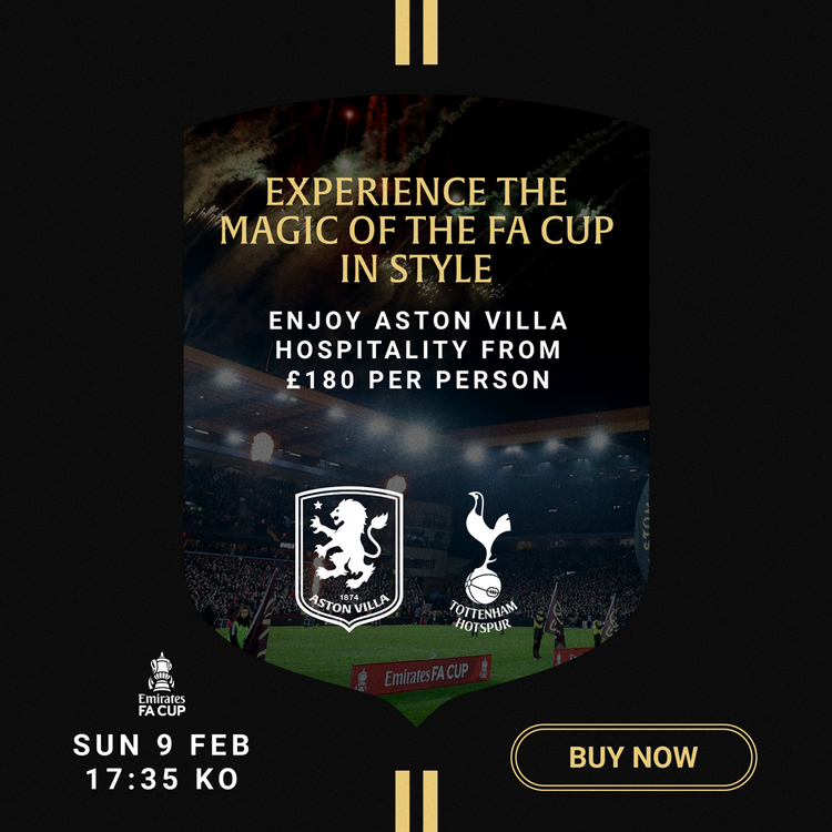 Aston villa websites store